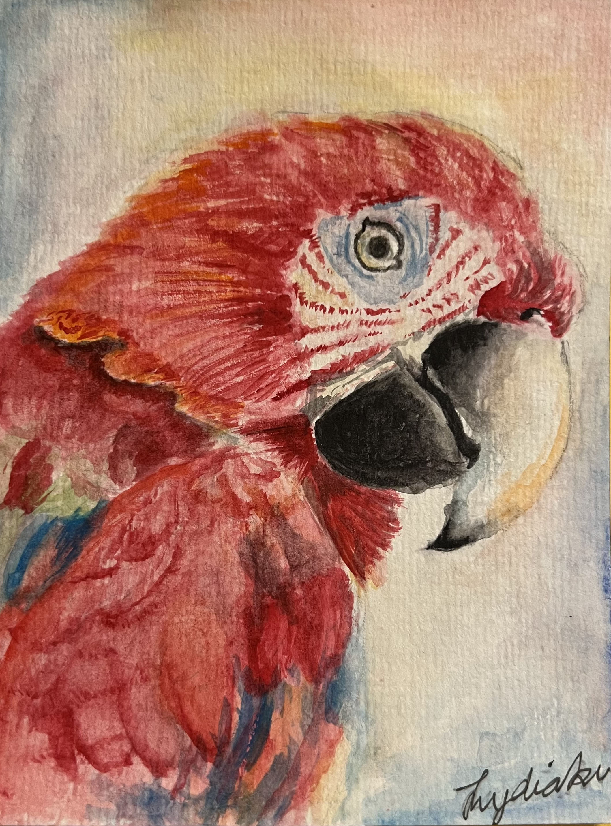 Young Artist Award | Colorado Springs, Littleton, Steamboat Springs ...